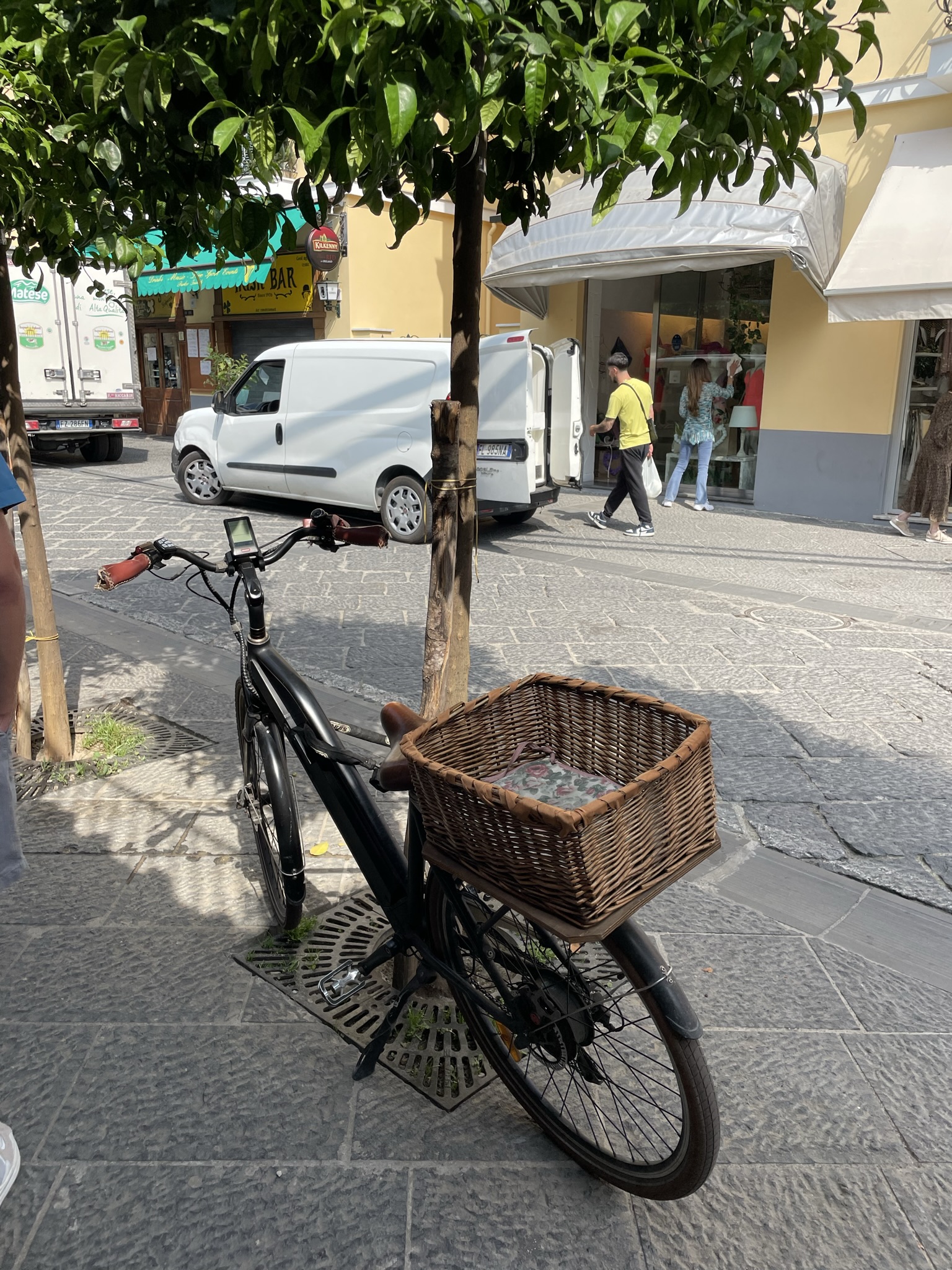 Ardastra Gardens & Wildlife Conservation Centre in Nassau, Bahamas: Everything You Need to Know ...