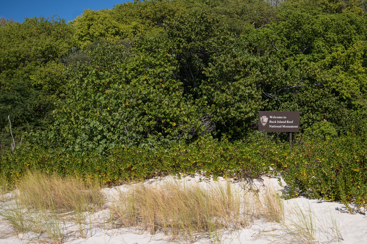 Buck Island Reef National Monument – St. Croix - Cruising to Sunshine