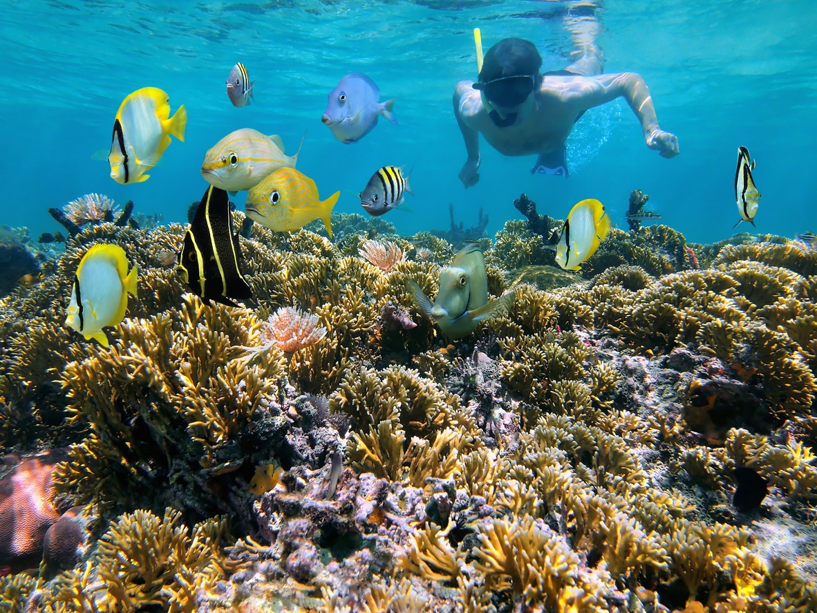 Snorkeling & Water Activities - Costa Maya - Cruising to Sunshine